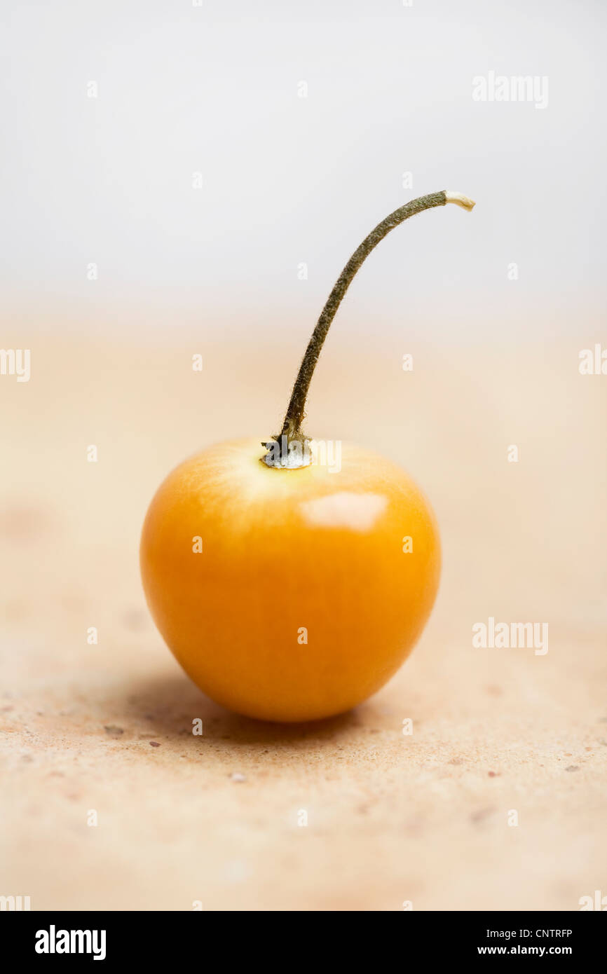 Close up of cherry tomato Stock Photo - Alamy