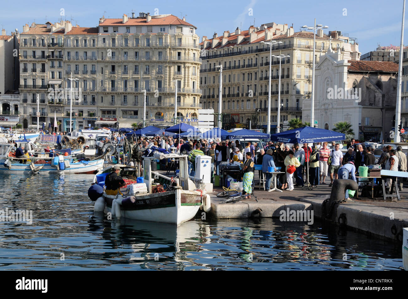 A busy scene at the daily fish market in Vieux port (old port) in ...
