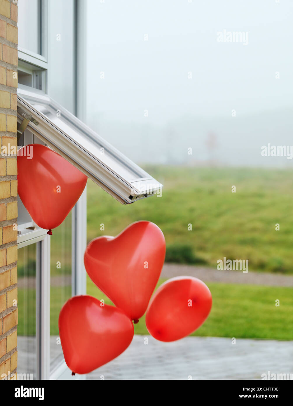 Heart-shaped balloons outside window Stock Photo - Alamy