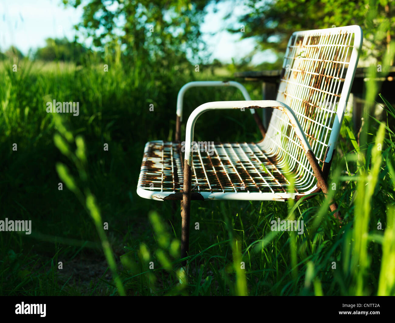 Empty park bench in grass Stock Photo - Alamy