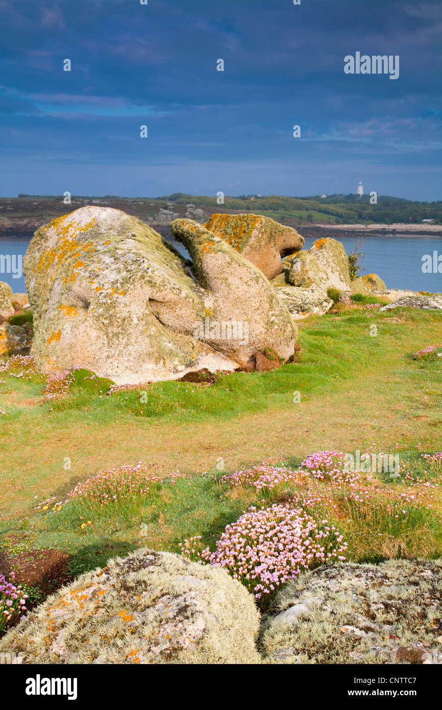Gugh; looking to St Agnes; Isles of Scilly; UK Stock Photo - Alamy