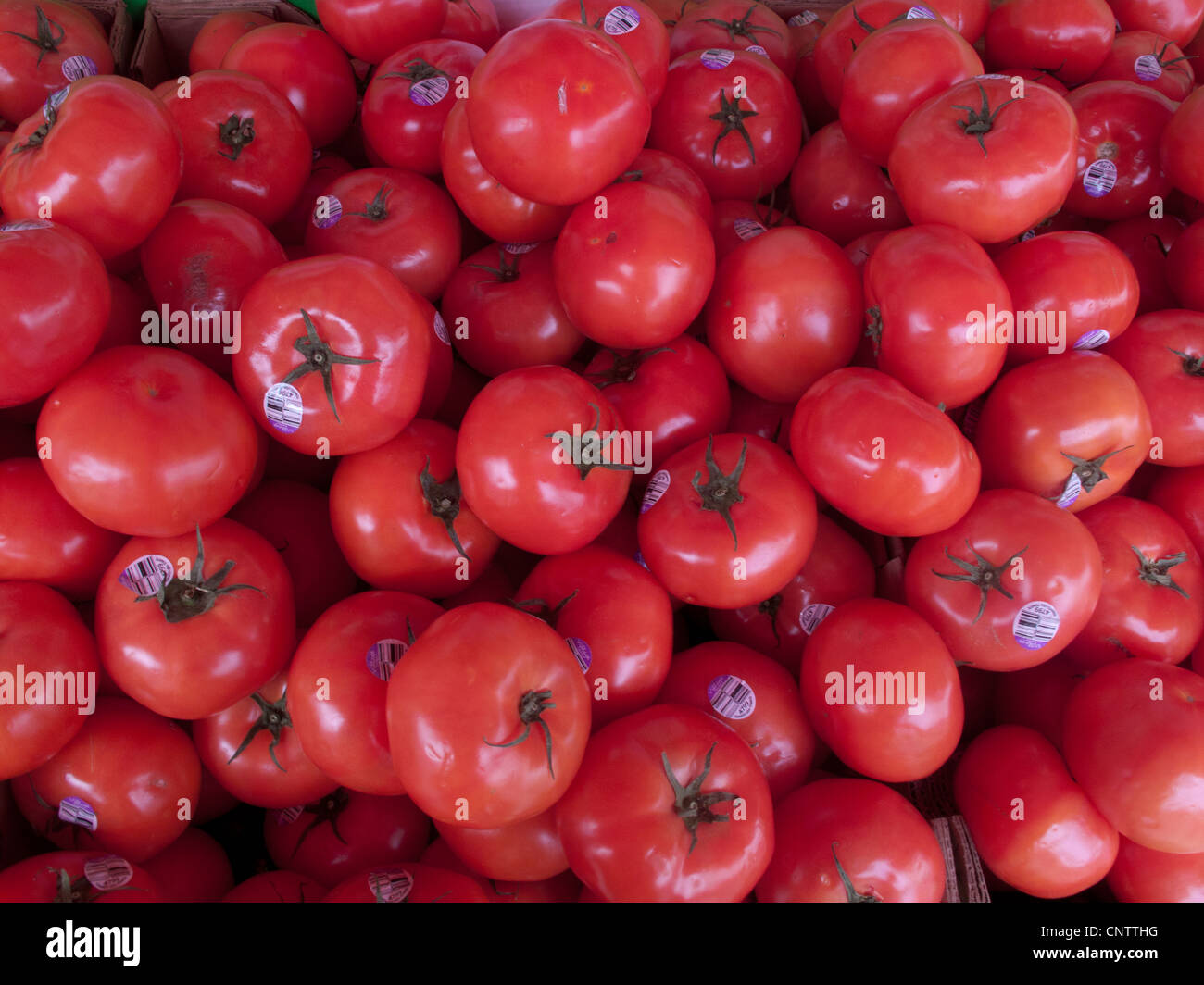Tomatoes for sale at a produce market on in Brooklyn, NY Stock Photo ...