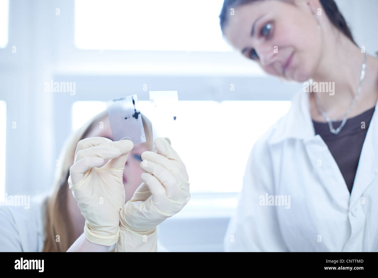 two female researchers checking research results in a biochemistry lab ...