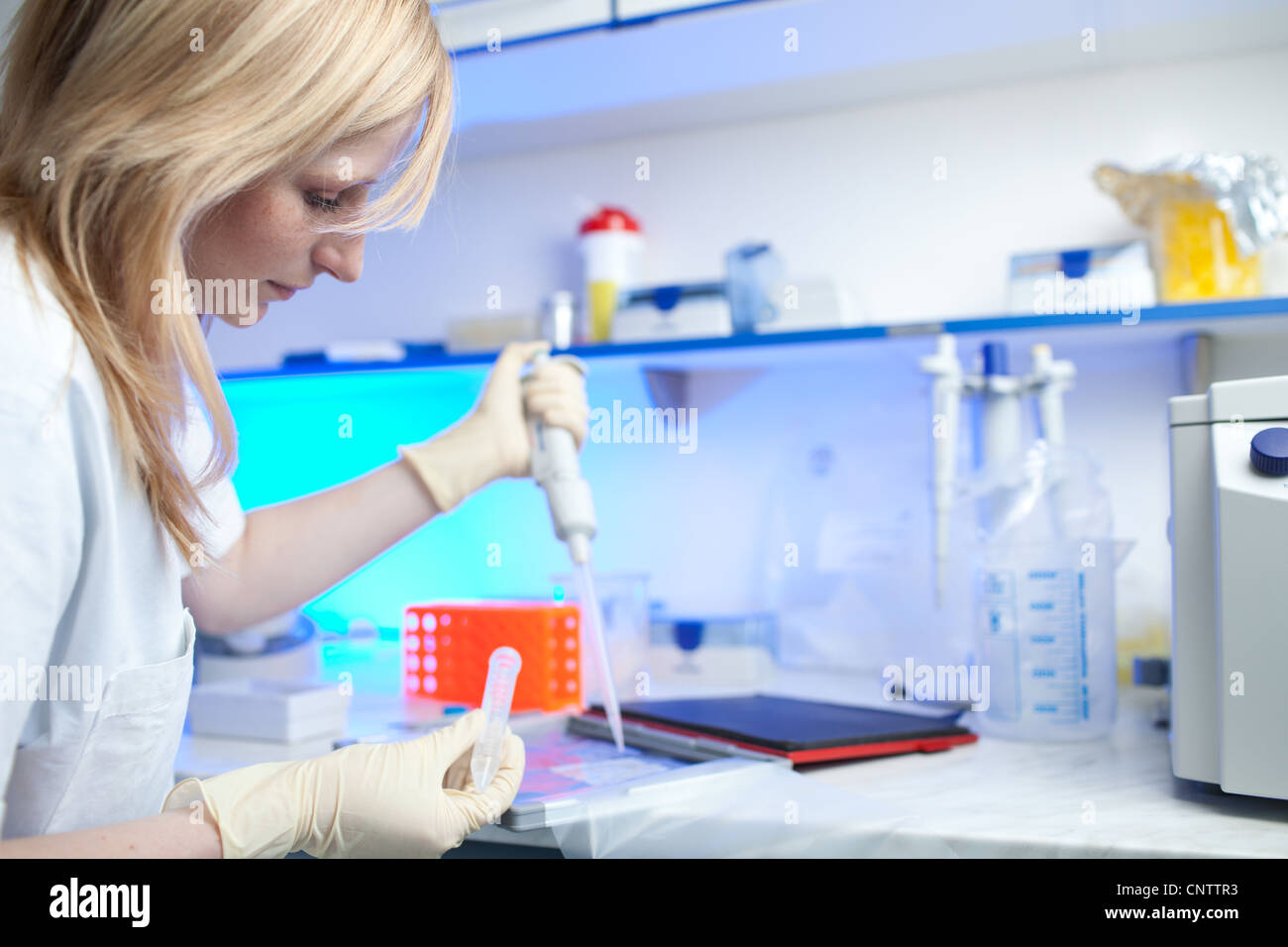 portrait of a female researcher doing research in a lab (color toned ...
