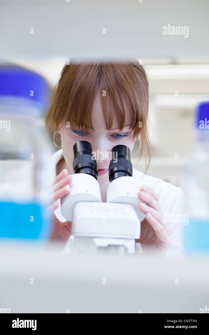pretty female researcher using a microscope in a lab Stock Photo - Alamy