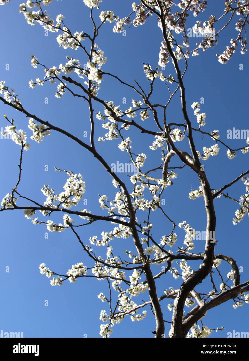 Spring start hi-res stock photography and images - Alamy