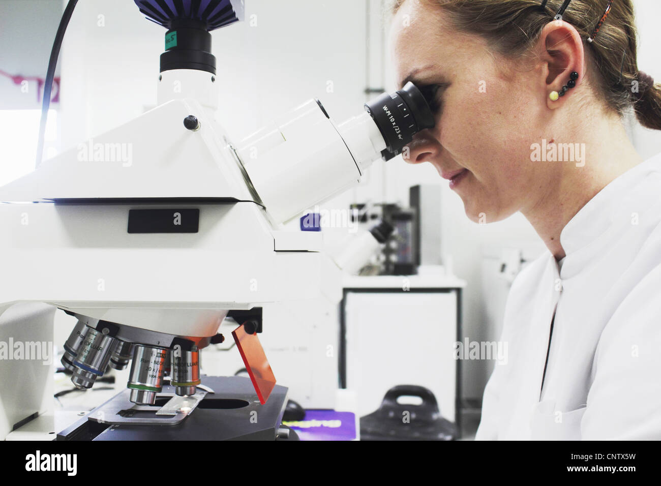 Scientist looking through microscope Stock Photo - Alamy