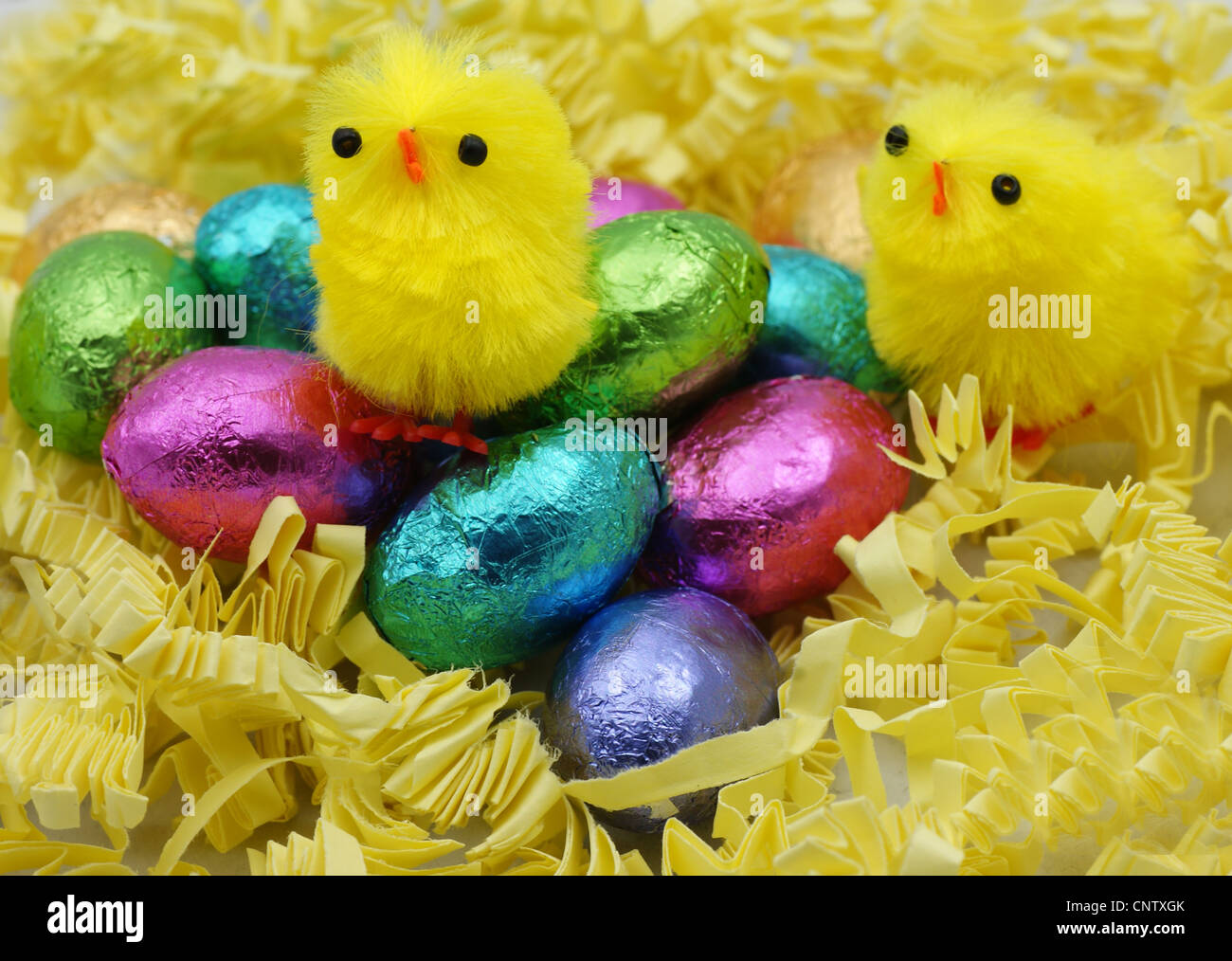 easter egg chicks on mini eggs Stock Photo - Alamy