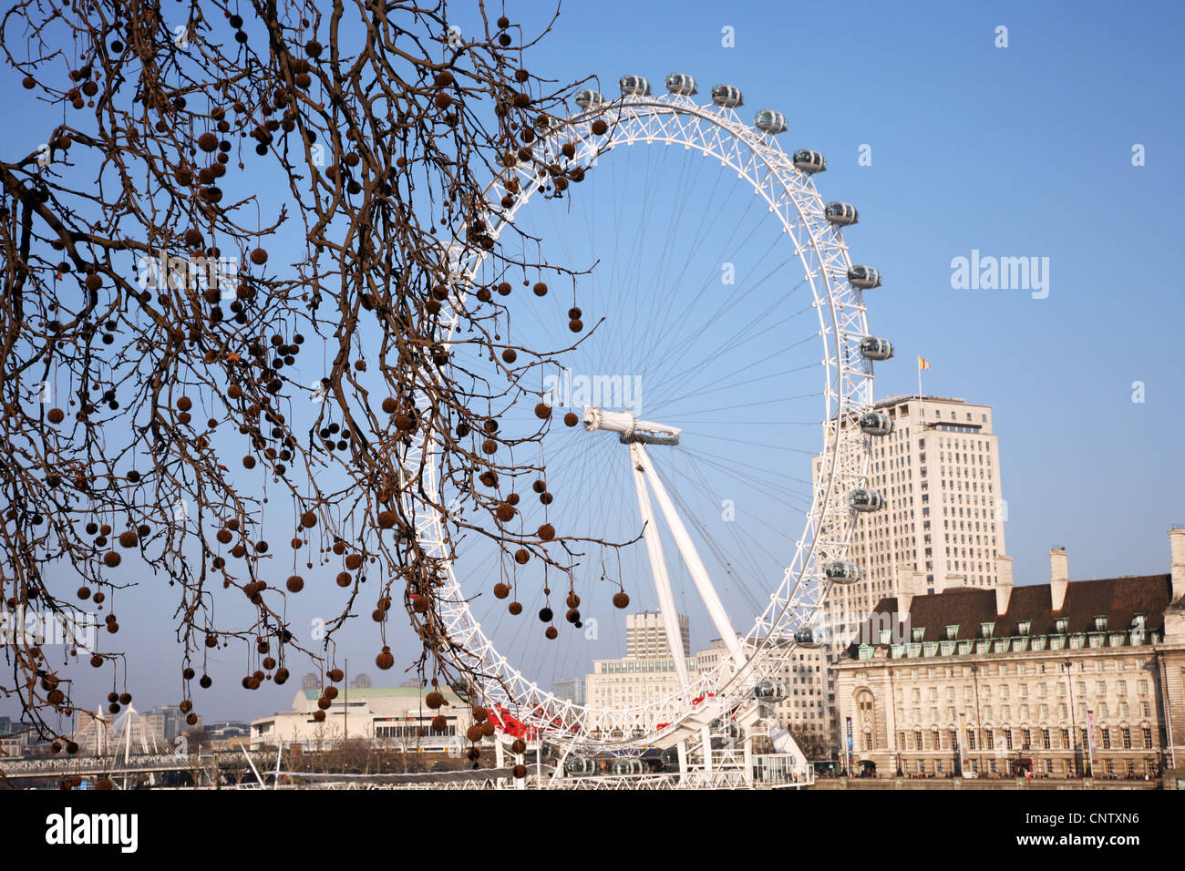 View of the London Eye, a famous tourist attraction [Editorial use only ...