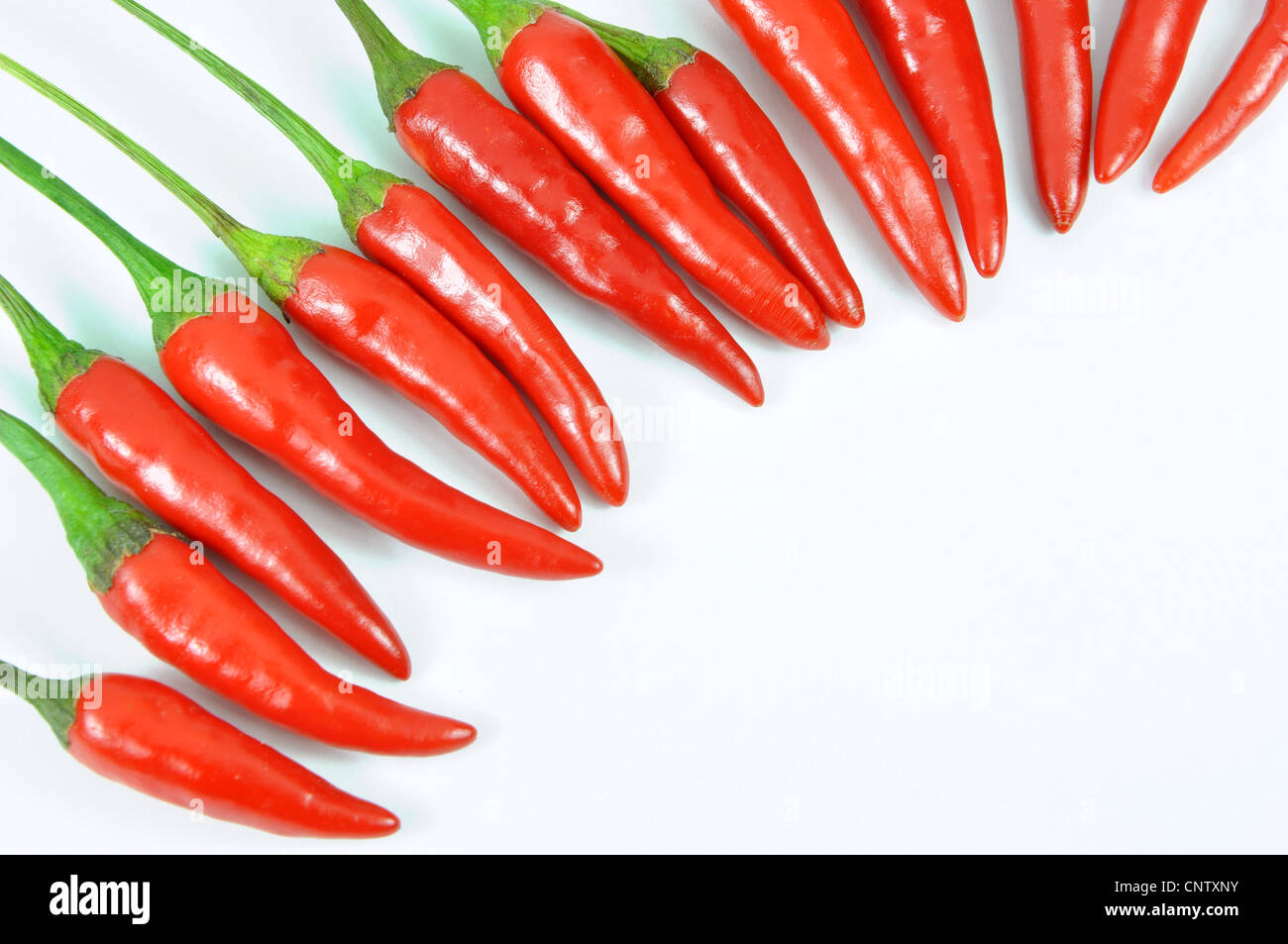 Red pepper pattern Stock Photo - Alamy