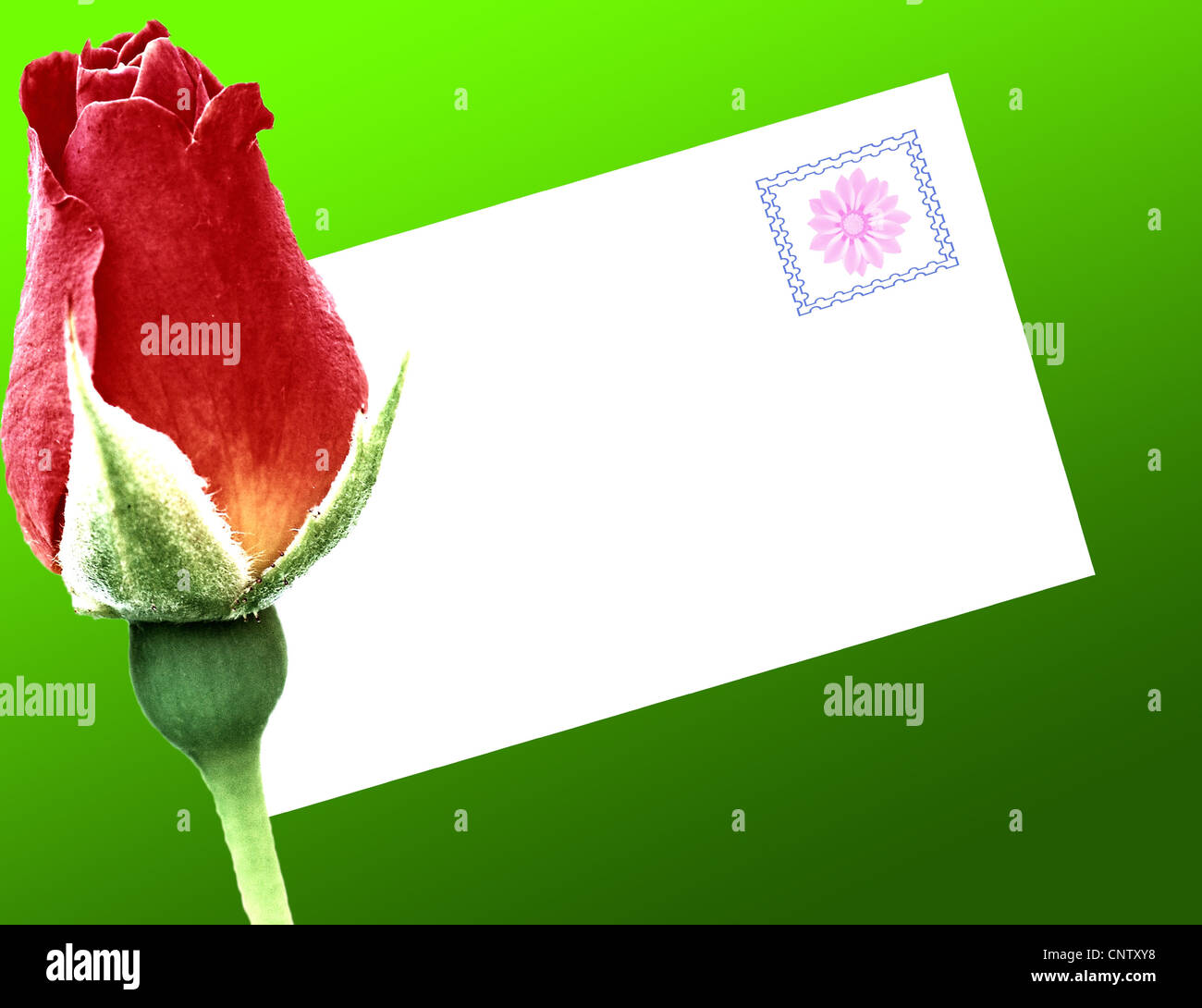 Stamp lover hi-res stock photography and images - Alamy