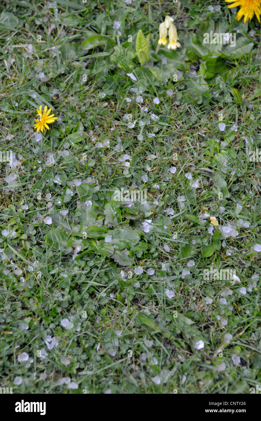 Hail stones hi-res stock photography and images - Alamy