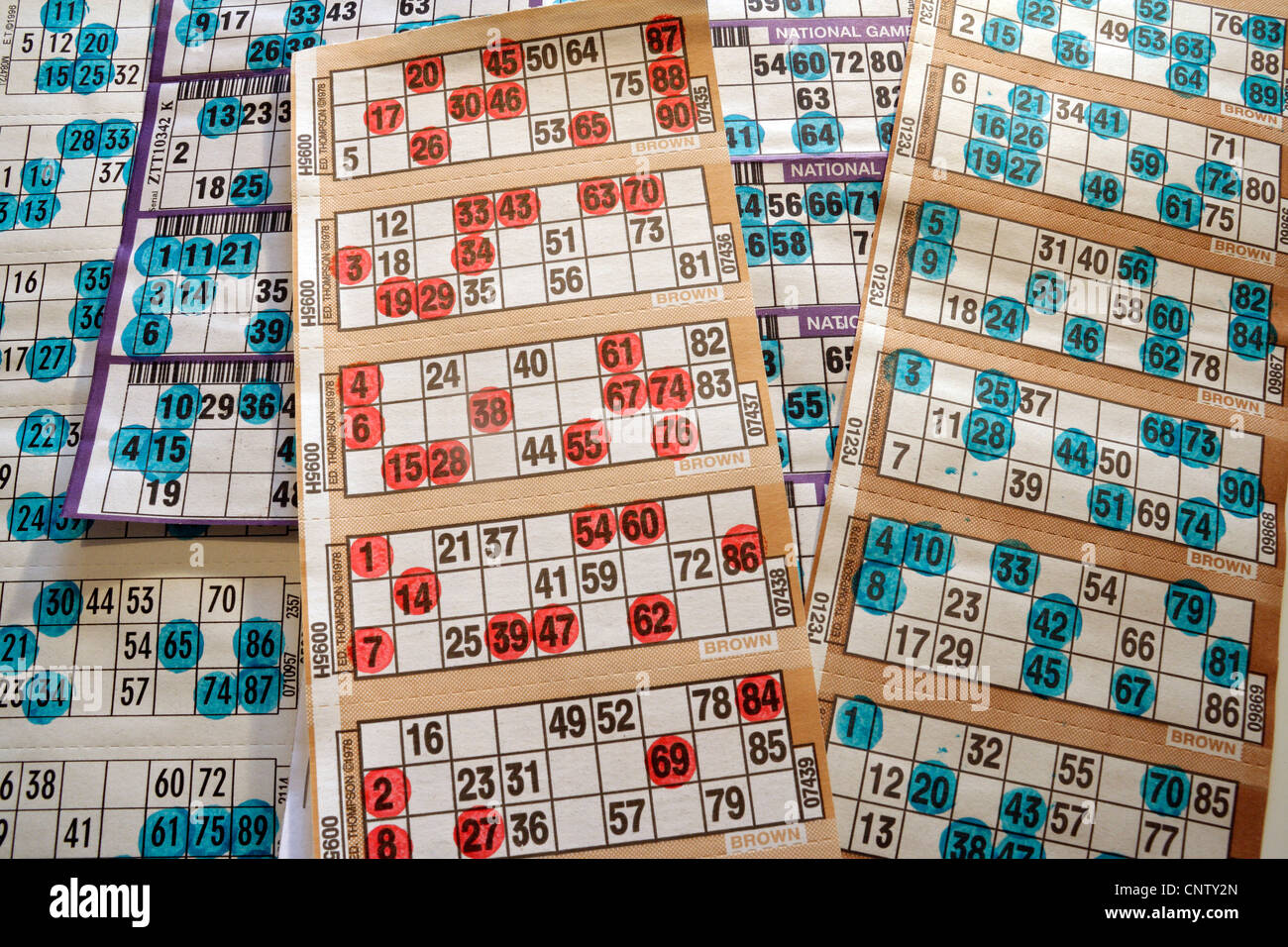 Bingo cards hi-res stock photography and images - Alamy