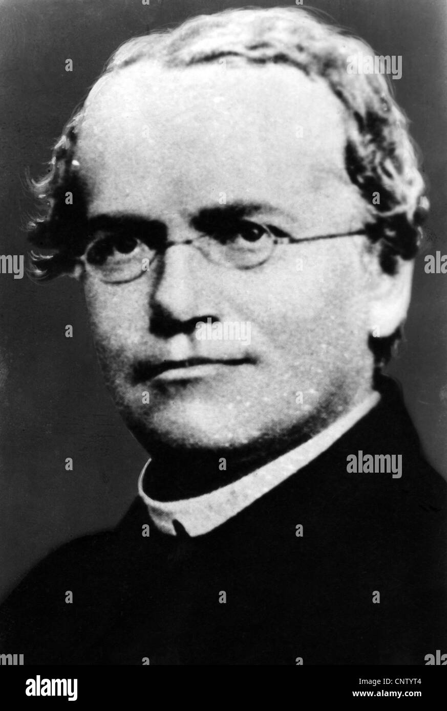Gregor mendel hi-res stock photography and images - Alamy