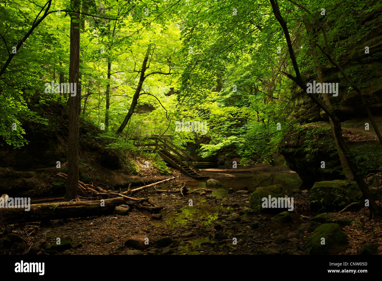 Stairway to Cedar Point. Upper Dells, Matthiessen State Park, Illinois ...
