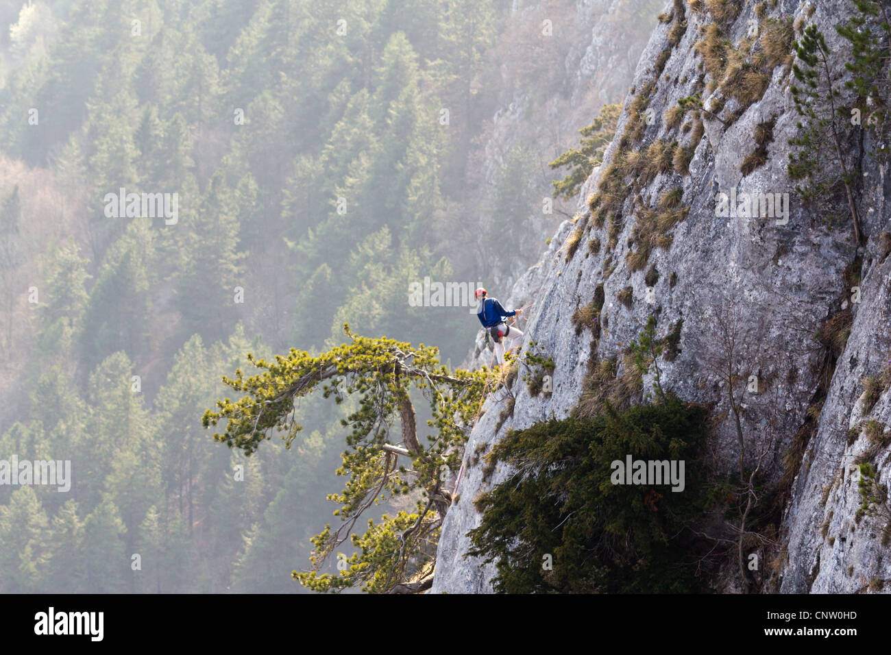 A mountain climber looking down, keeping the rope tight Stock Photo - Alamy