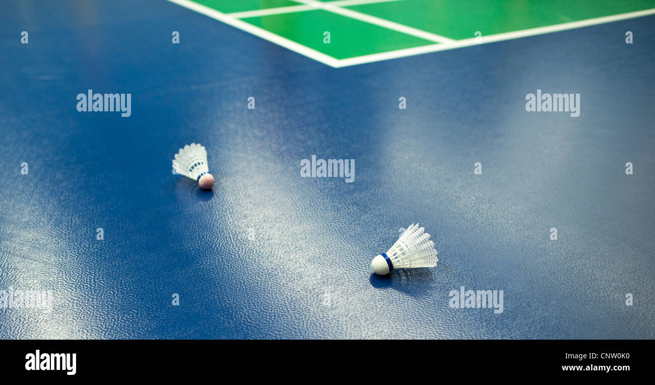 badminton - badminton courts with two shuttlecocks (shallow DOF; color ...