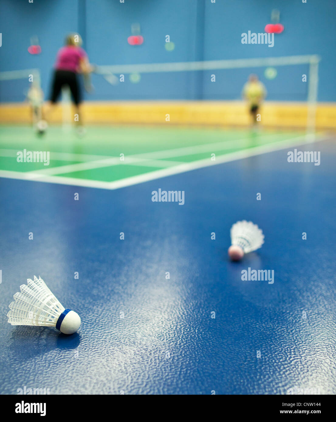 badminton - badminton courts with players competing; shuttlecocks in ...