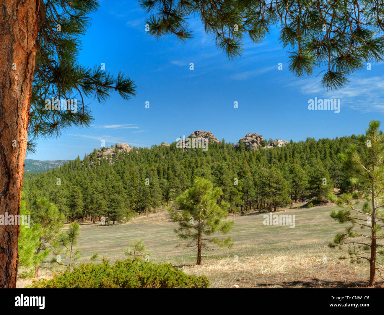 Alderfer three sisters park hi-res stock photography and images - Alamy