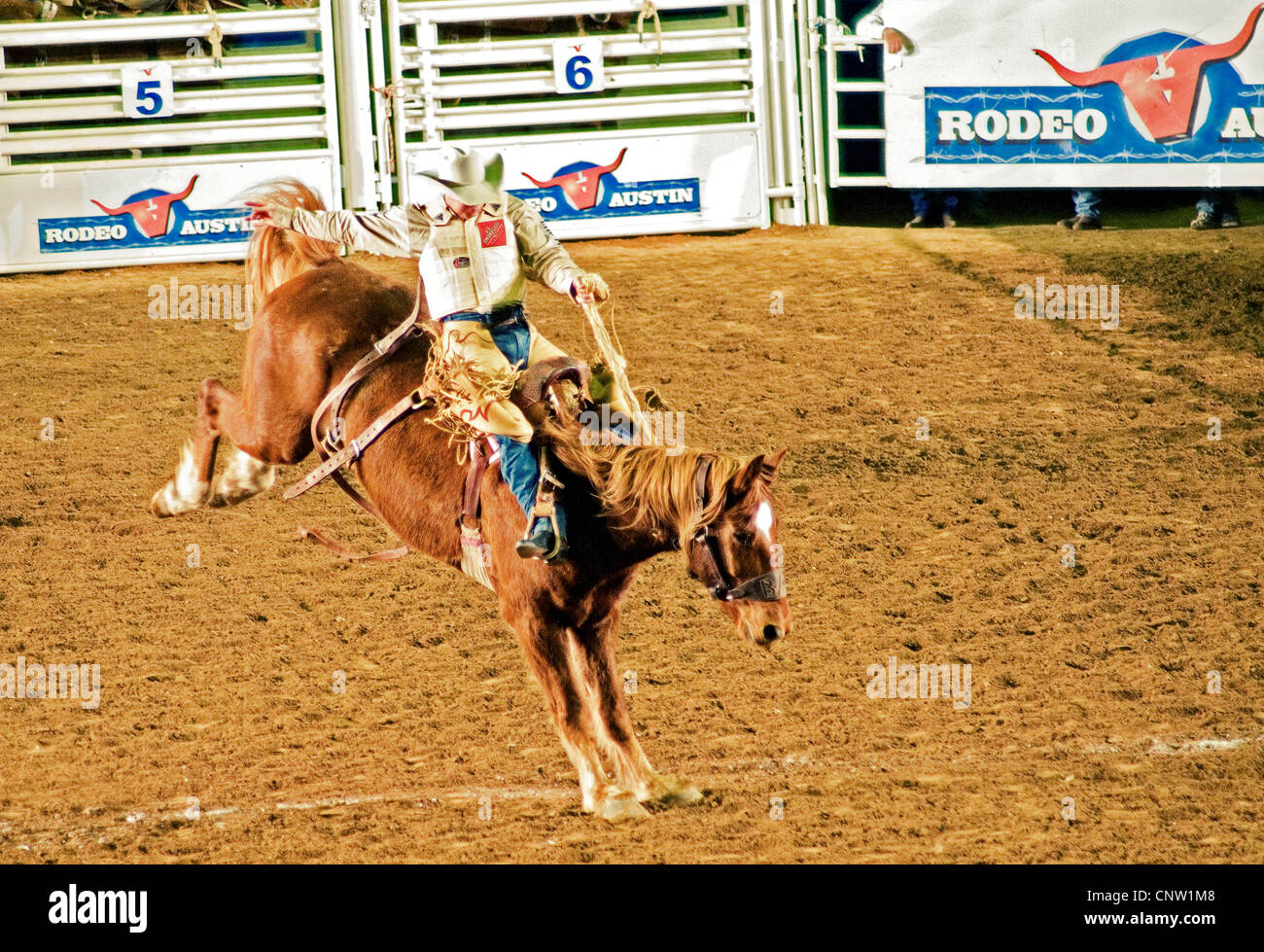 Bucking horse competition during Rodeo Austin 2009 Stock Photo - Alamy