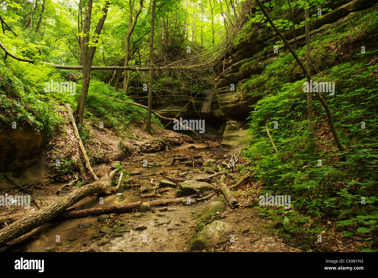 Cedar Point Canyon. Matthiessen State Park, Illinois Stock Photo - Alamy