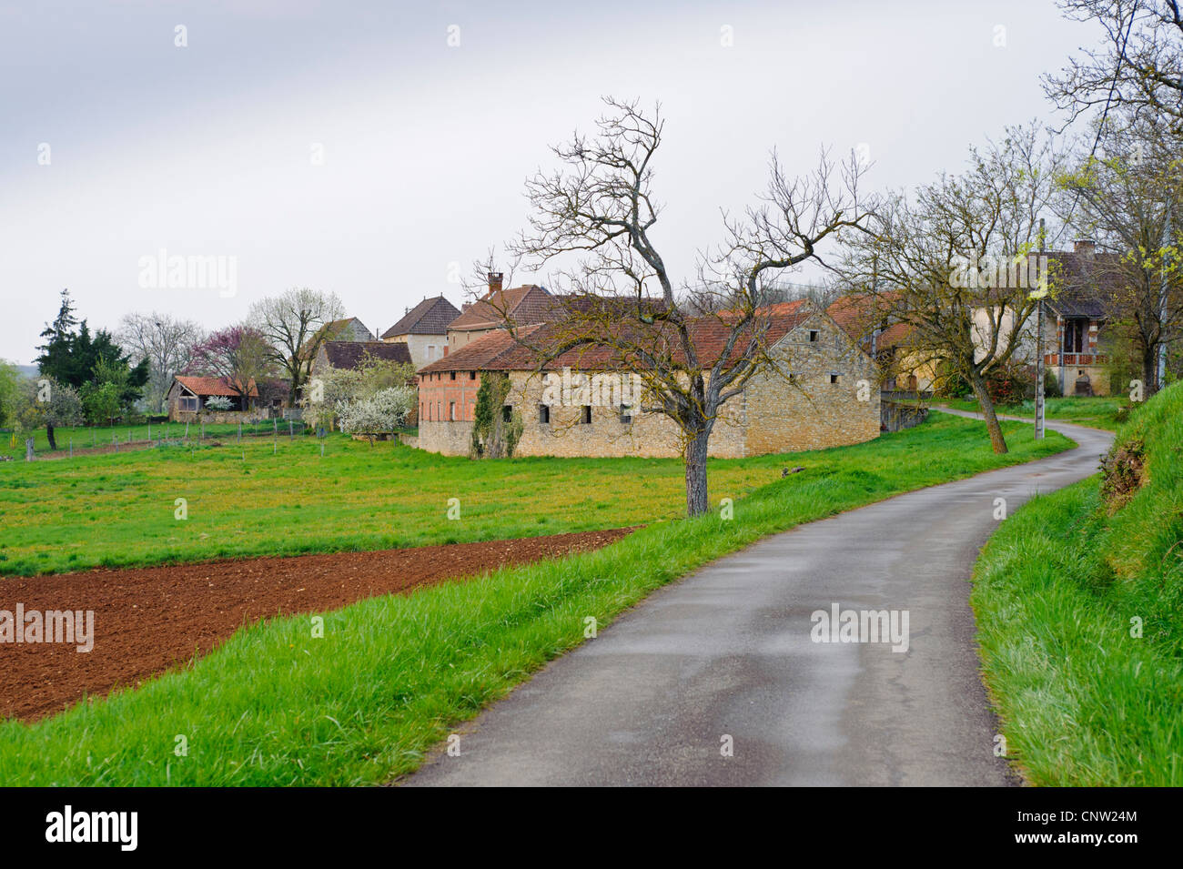 Country road running to small French village in southern France in the ...
