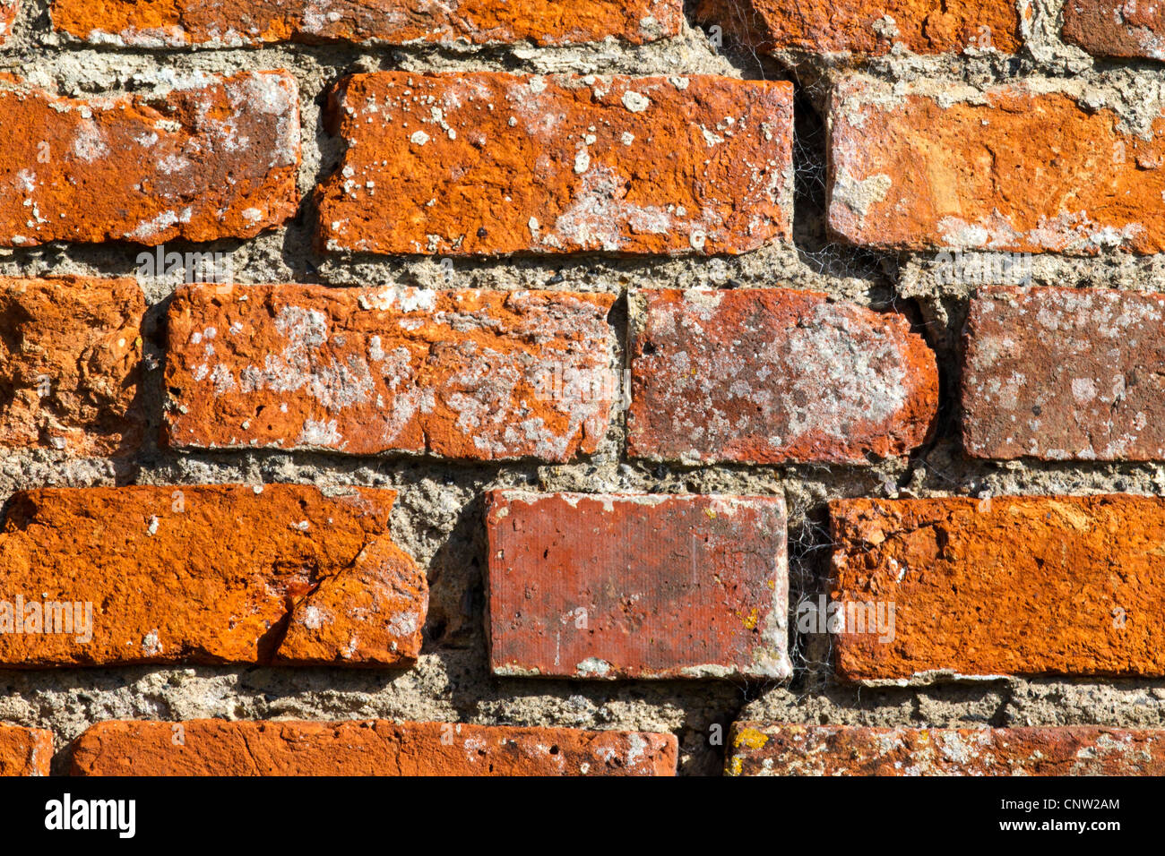 Monk bond brick hi-res stock photography and images - Alamy