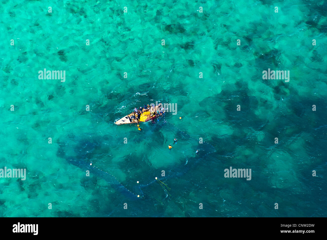 Illegal harvesting of tropical fish, Mafia Channel between Rufiji River ...