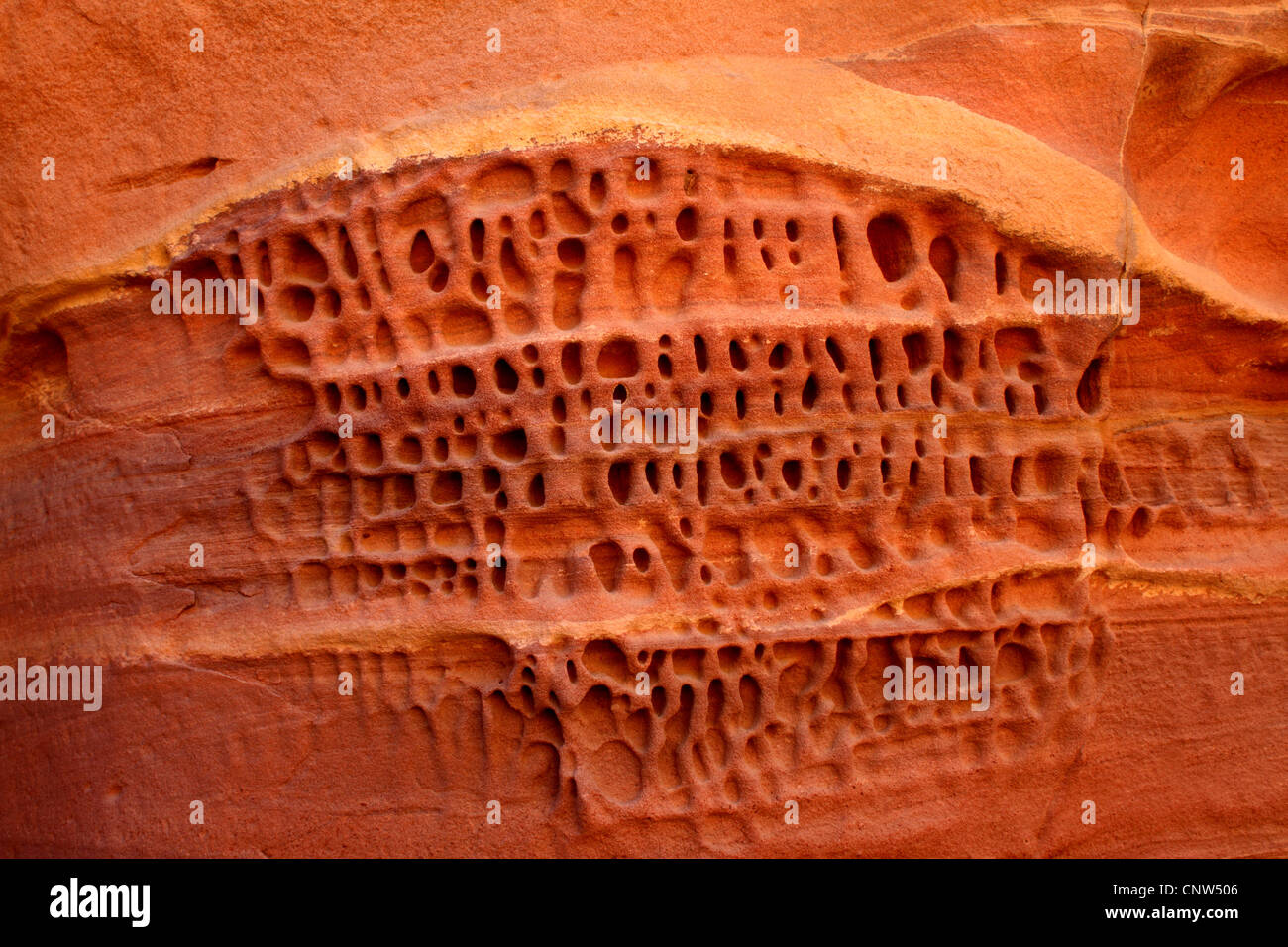 sandstone formations in Colored Canyon, Egypt, Sinai Stock Photo - Alamy