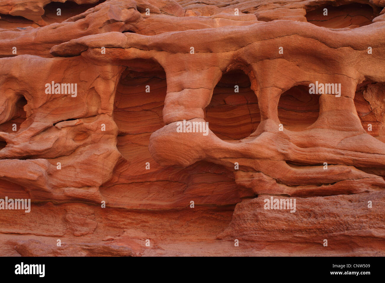 sandstone formations in Colored Canyon, Egypt, Sinai Stock Photo - Alamy