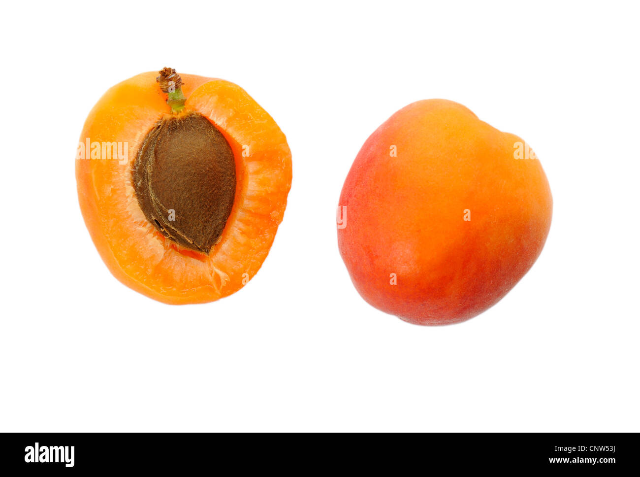 apricot tree (Prunus armeniaca), cut and complete apricot Stock Photo ...