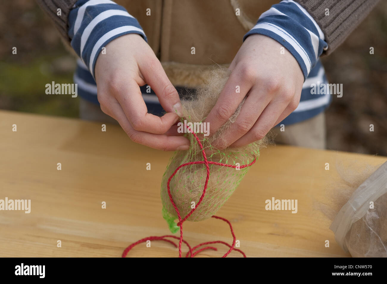 building a dispenser for nesting material Stock Photo - Alamy