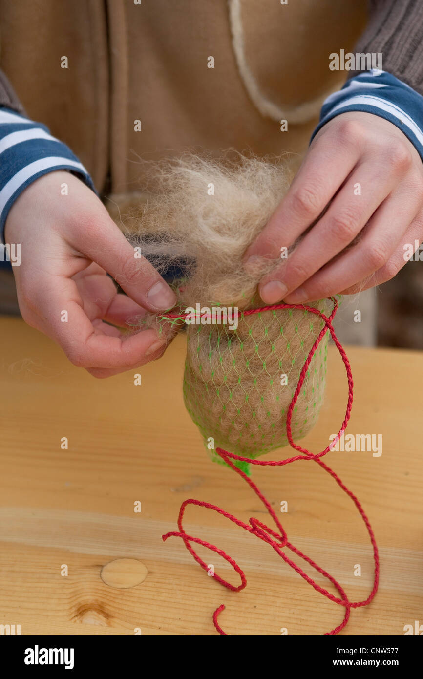 building a dispenser for nesting material Stock Photo - Alamy