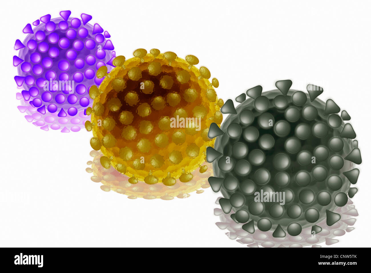 No virus computer generated Cut Out Stock Images & Pictures - Alamy