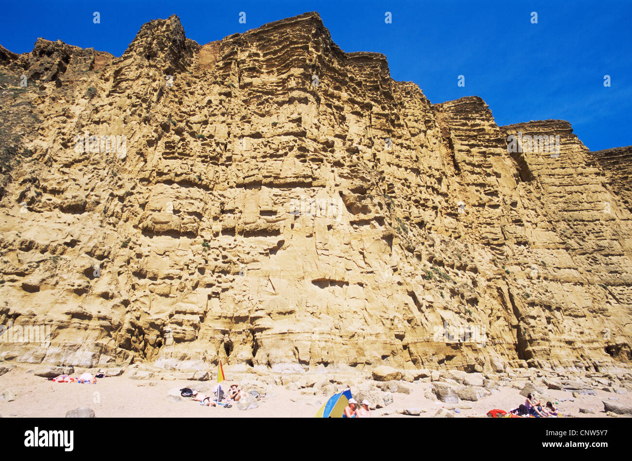 United Kingdom, Great Britain, England, Dorset, The Cliffs at West Bay ...