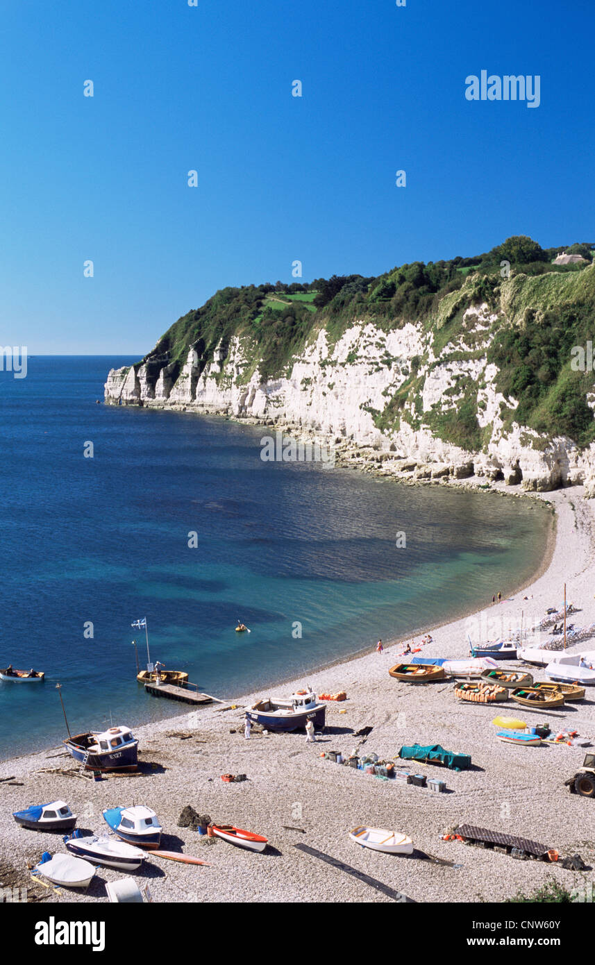 United Kingdom, Great Britain, England, Dorset, Beer Stock Photo - Alamy