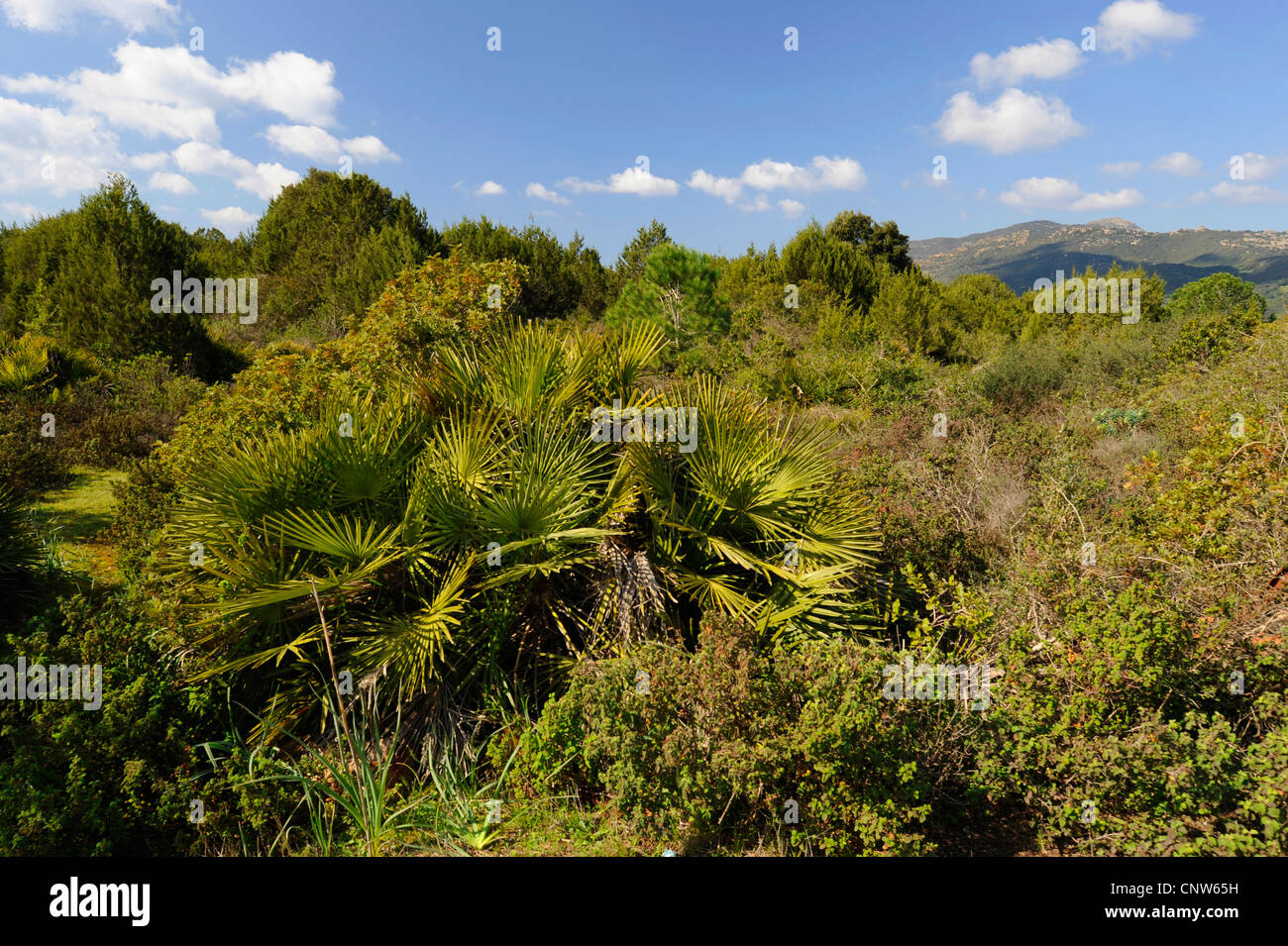 Island italy landscape sardinia hi-res stock photography and images - Alamy