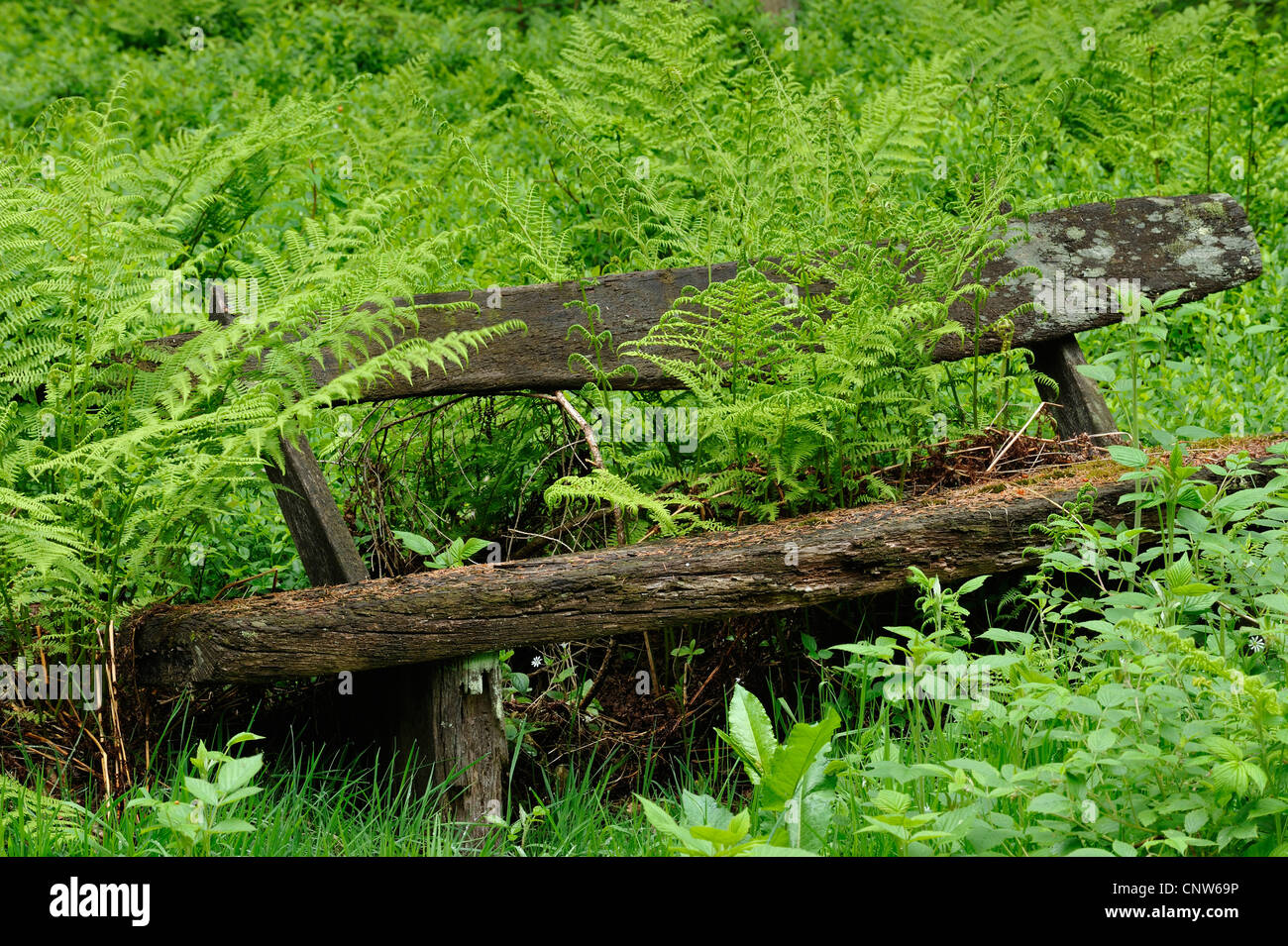 Rotten bench hi-res stock photography and images - Alamy