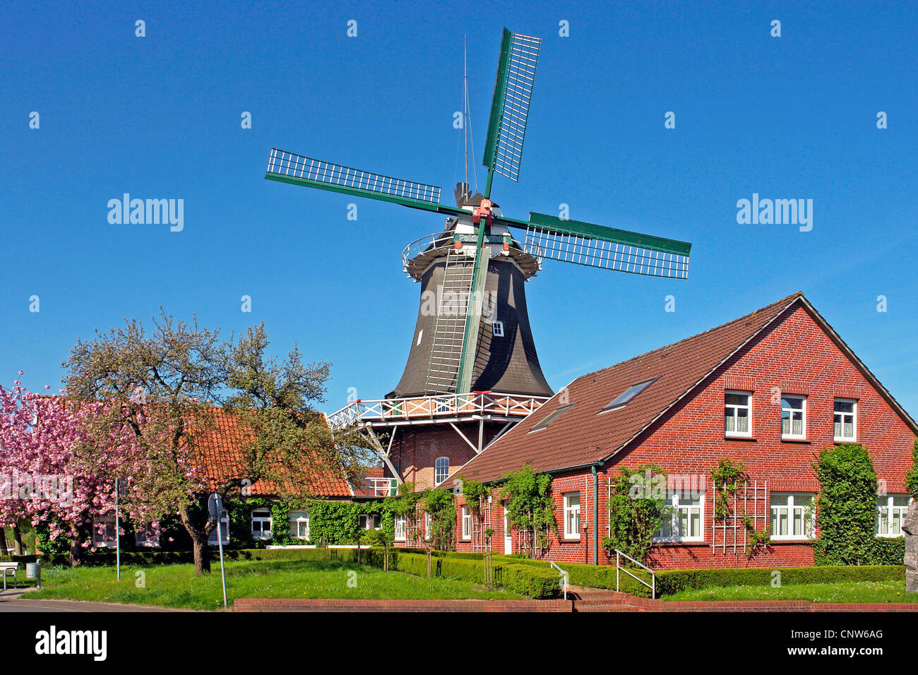 Esens hi-res stock photography and images - Alamy