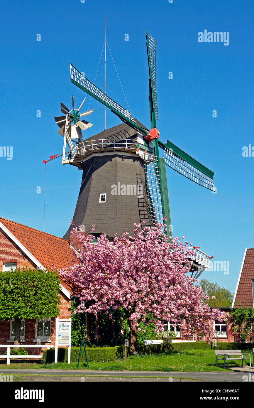 Esens High Resolution Stock Photography and Images - Alamy
