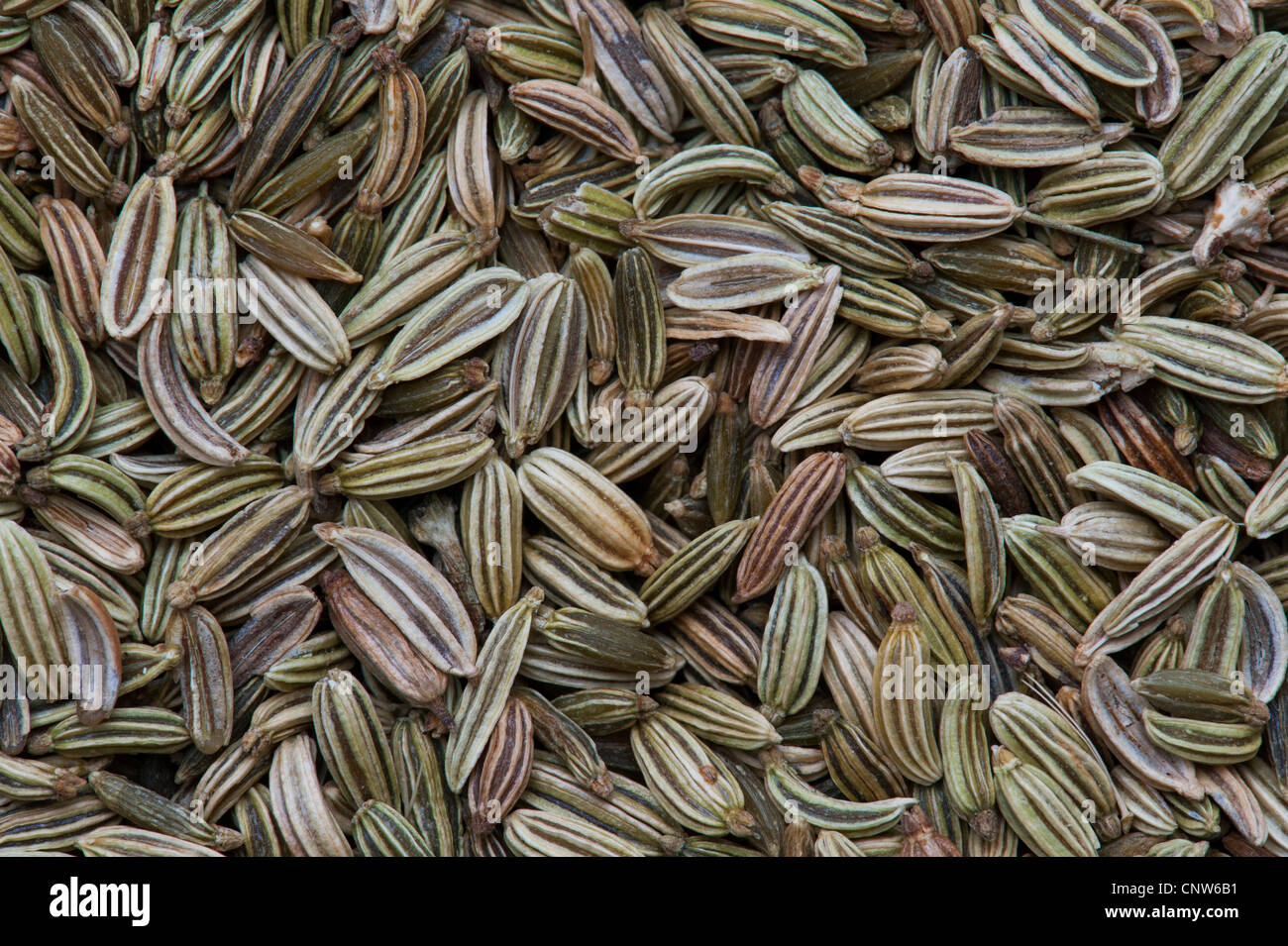 Fennel seeds texture hi-res stock photography and images - Alamy