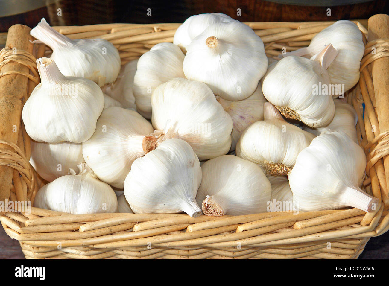 wild leek, elephant garlic (Allium ampeloprasum), Garlic bulbs Stock ...