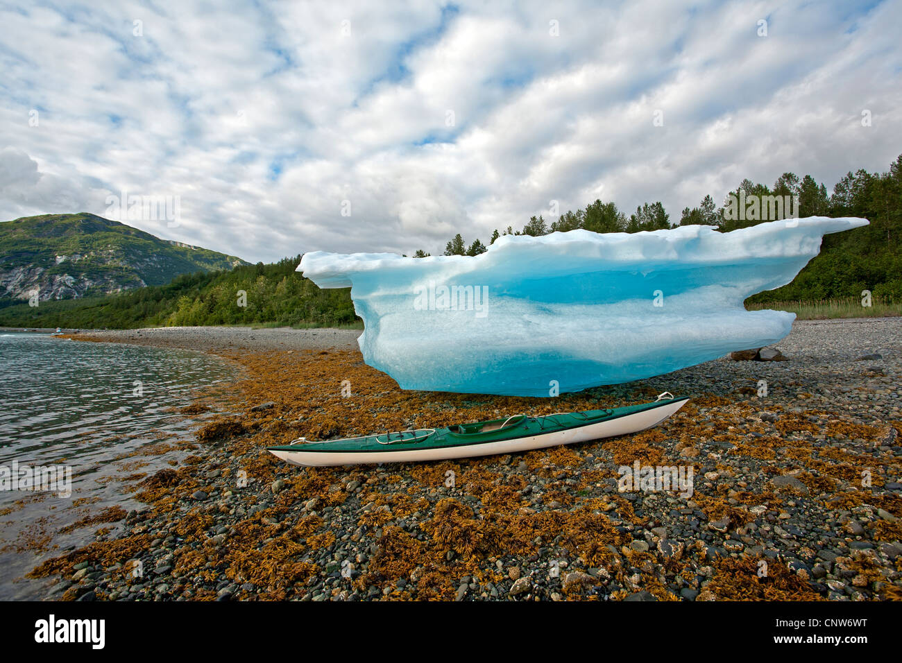 Muir inlet hi-res stock photography and images - Alamy