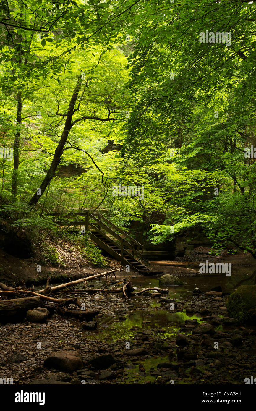 Stairway to Cedar Point. Upper Dells, Matthiessen State Park, Illinois ...