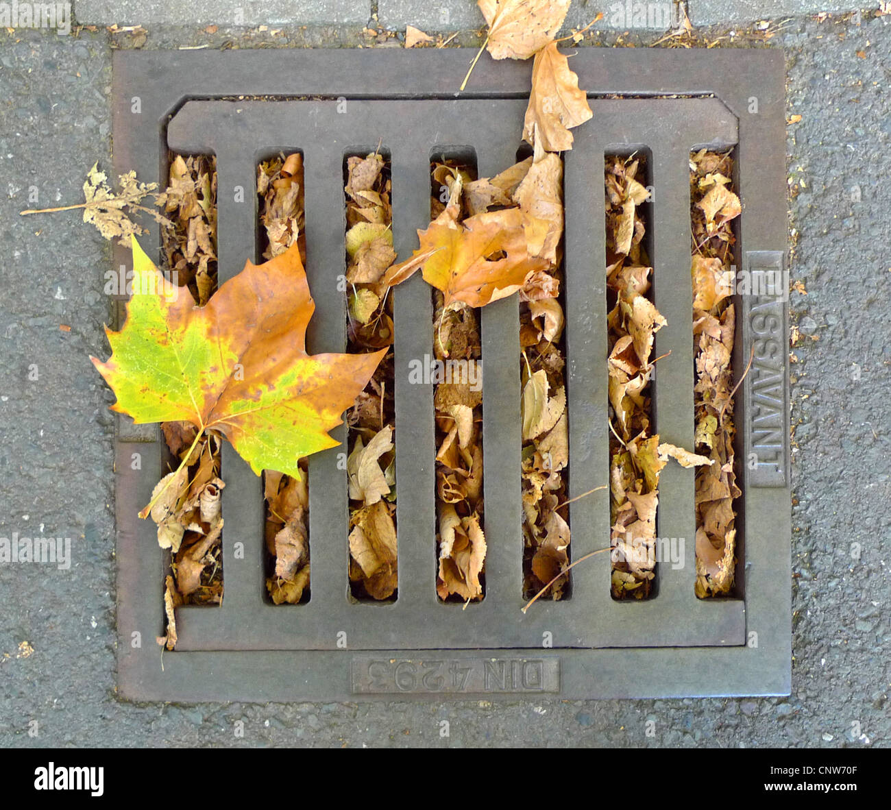 Drainage gully hi-res stock photography and images - Alamy