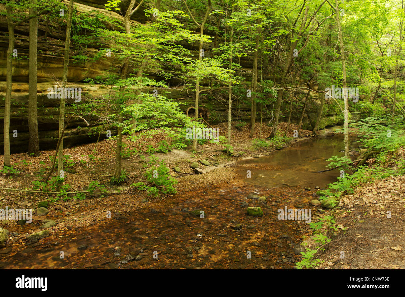 Canyon walls. Upper Dells, Matthiessen State Park, Illinois Stock Photo ...