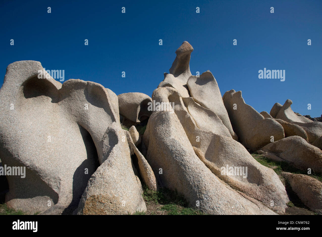 Weirdly shape hi-res stock photography and images - Alamy