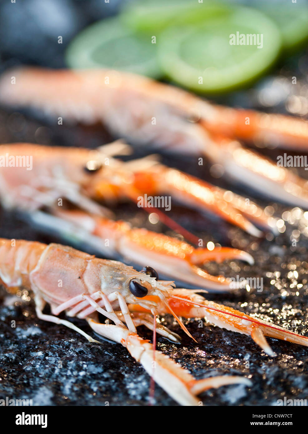 Langoustine nephrops norvegicus hi-res stock photography and images - Alamy