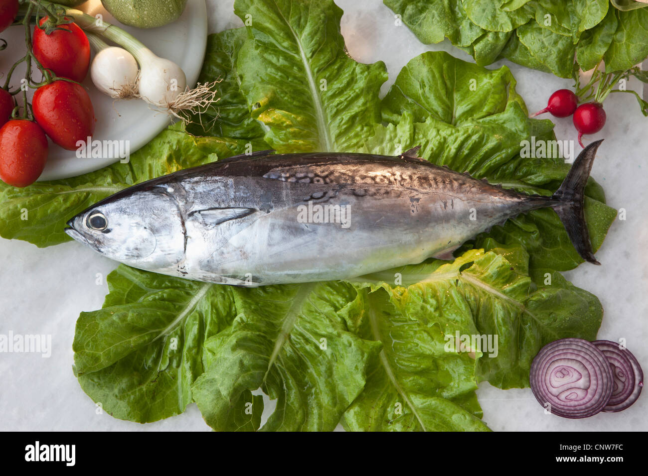 Raw Fish Image High Resolution Stock Photography and Images - Alamy
