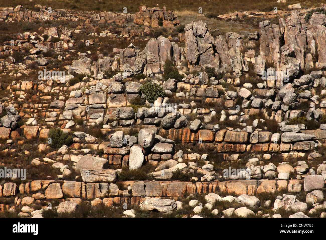 rock formation in the Cederbergs at Maltese Cross Hike, South Africa ...